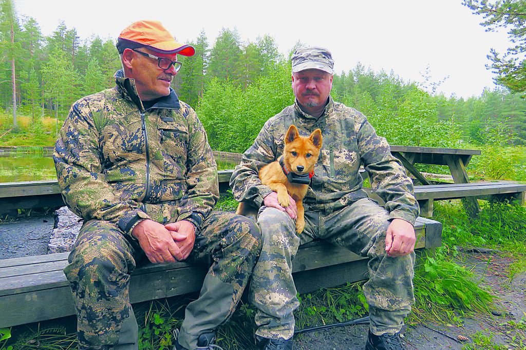 Pystykorva on nyt pop | Lapuan Sanomat